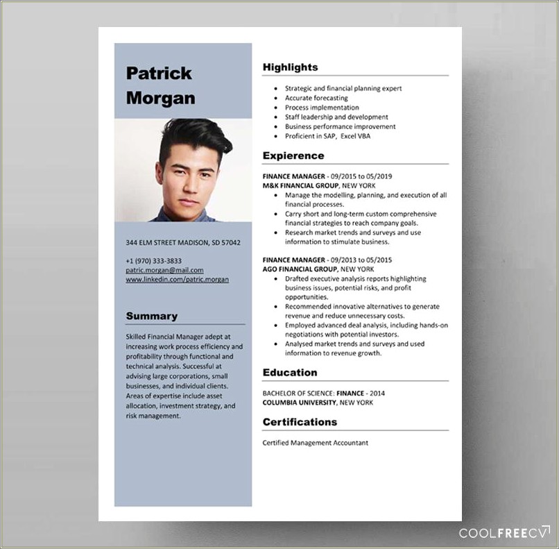 Attractive Professional Resume Templates Free Download Resume Example Attractive Professional Resume Templates Free Download Resume Example