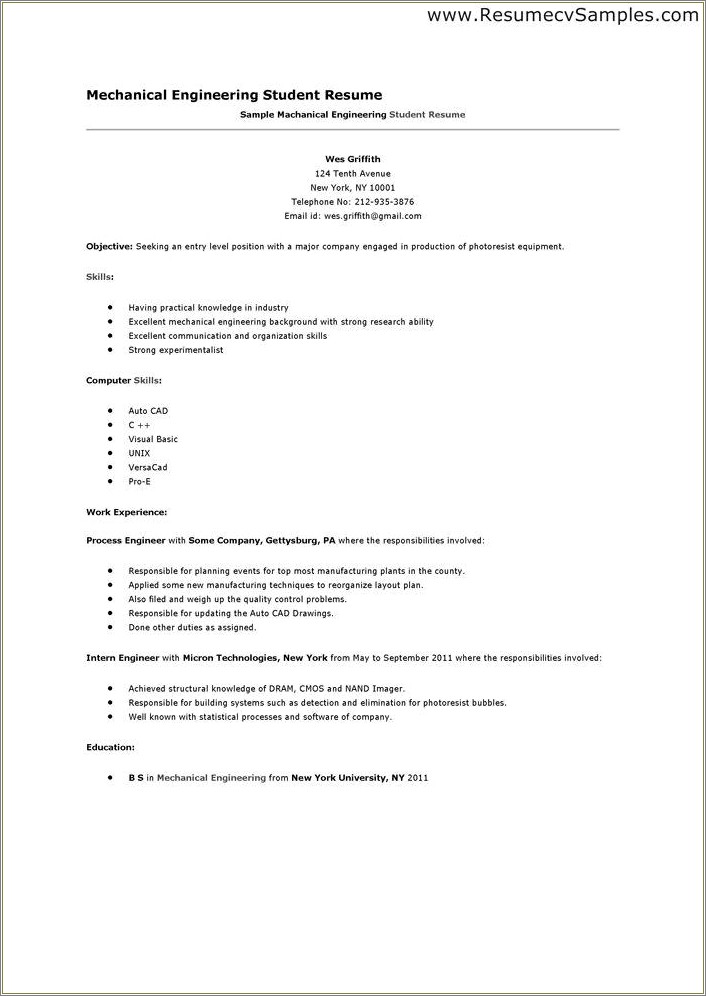 Basic First Job Resume Template Resume Example Gallery