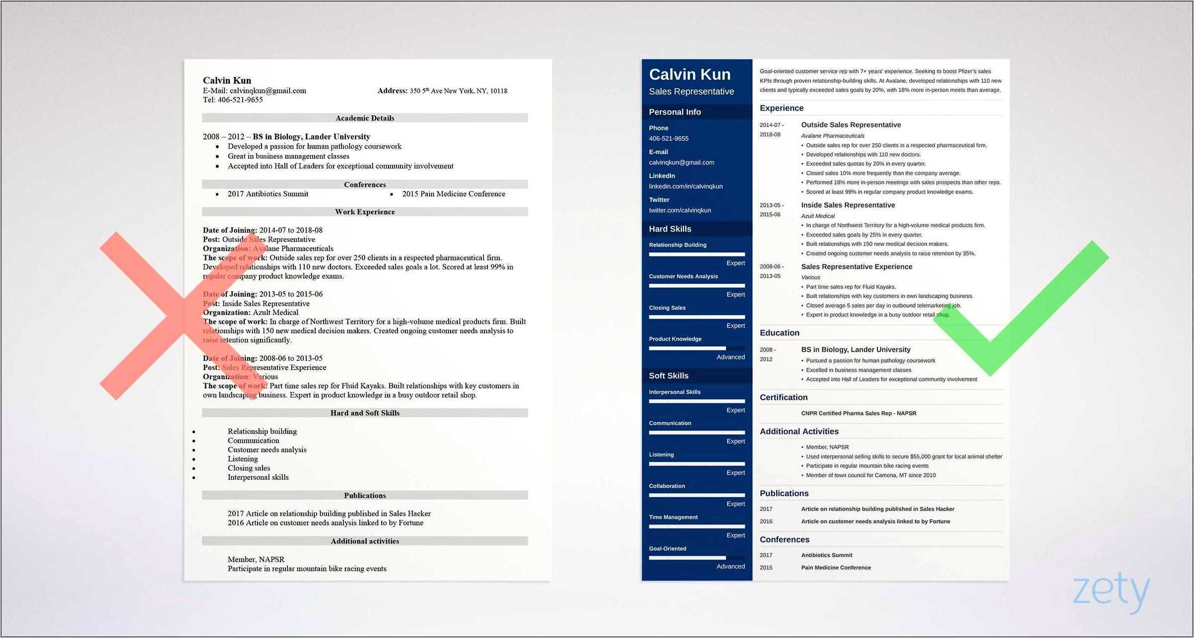 Best Resume For Sales Position Resume Example Gallery