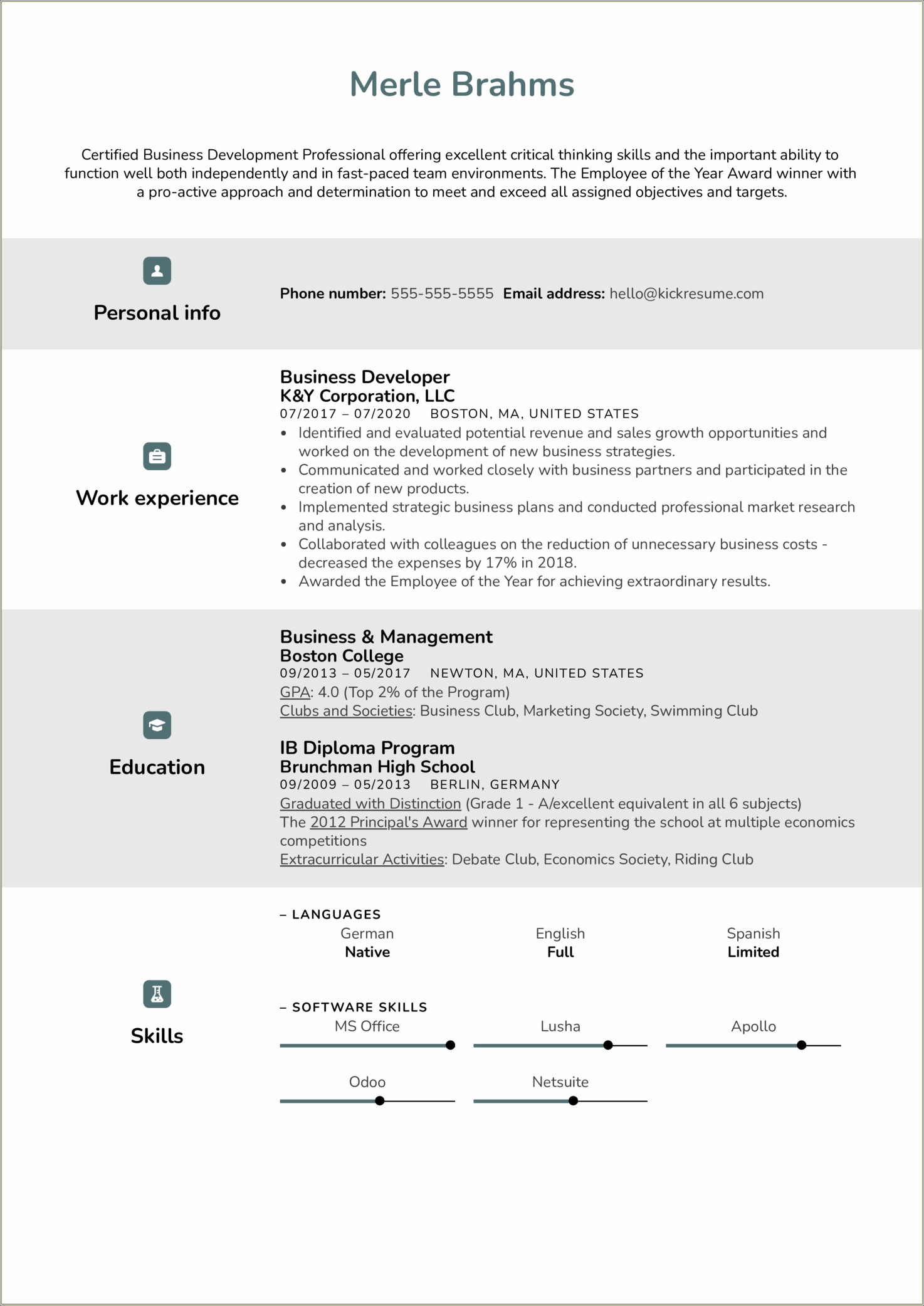 Business Development Resume Objective Examples Resume Example Gallery Business Development Resume Objective Examples Resume Example Gallery