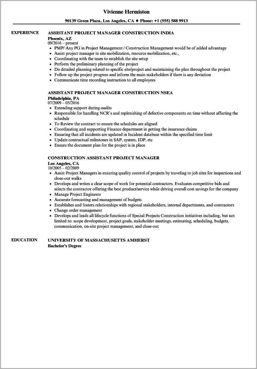 Best Resume Objective For Project Manager Resume Example Gallery best-resume-objective-for-project-manager-resume-example-gallery