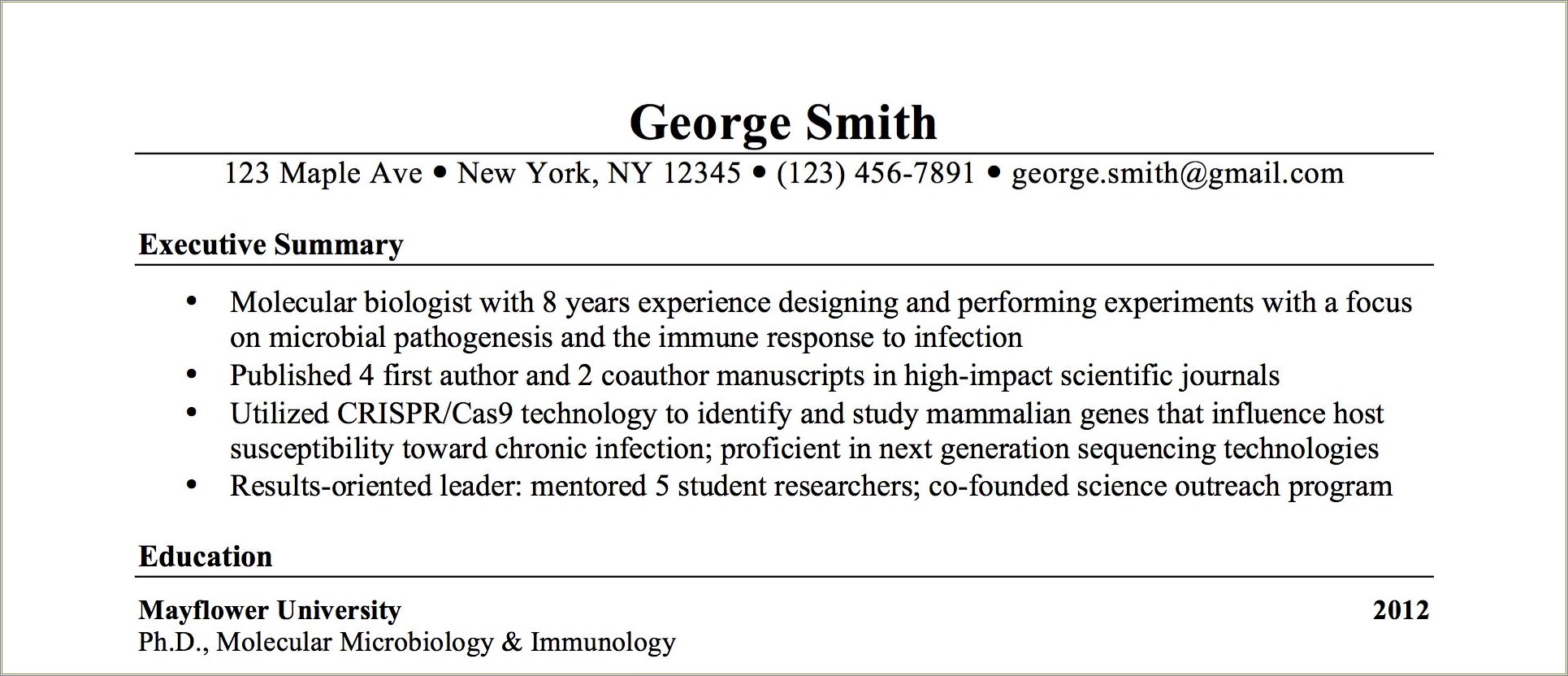 Best Skills Summary For Resume Resume Example Gallery