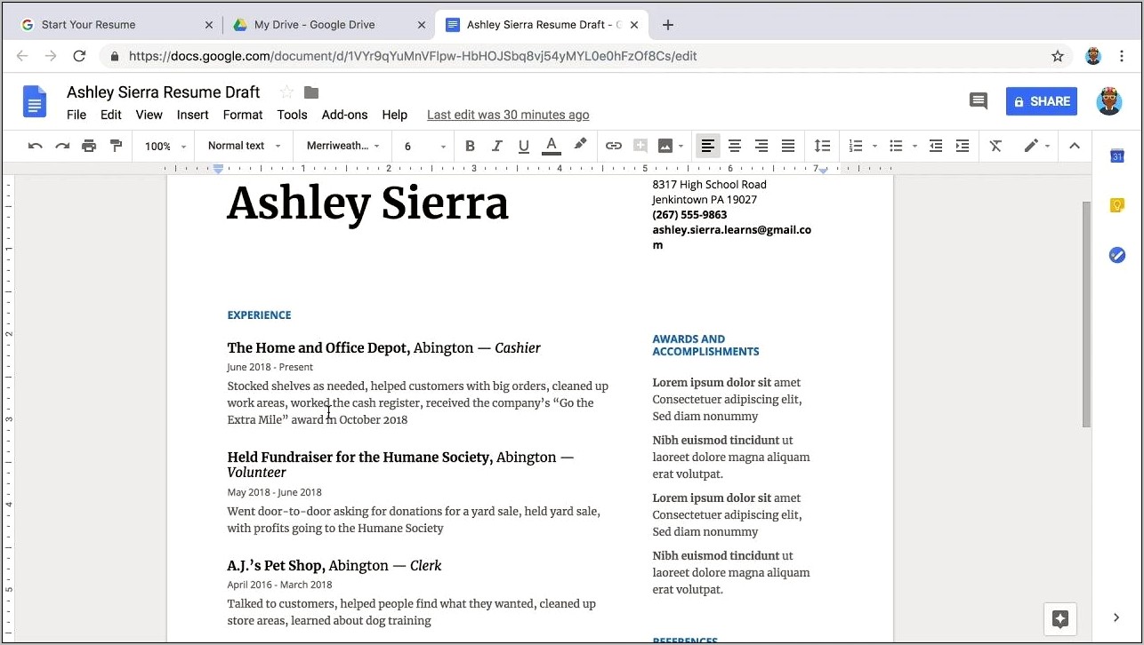 bullet-points-for-resume-examples-resume-example-gallery