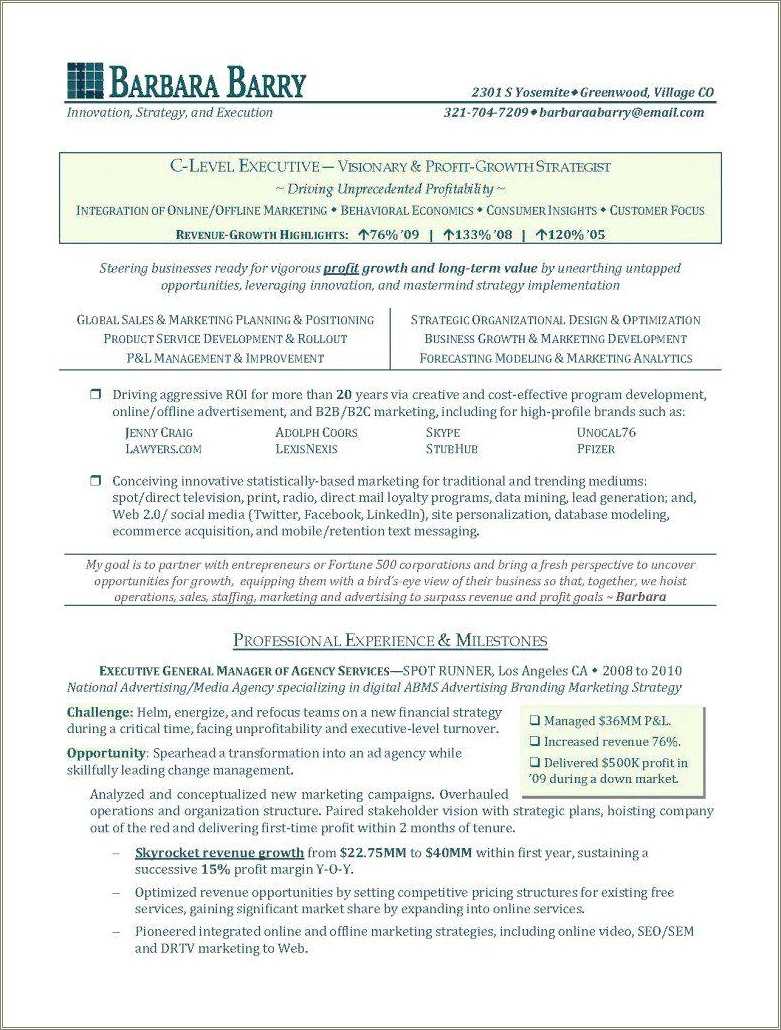 Business Development Resume Objective Examples Resume Example Gallery Business Development Resume Objective Examples Resume Example Gallery