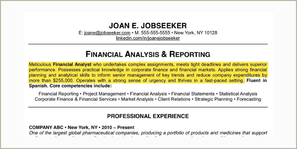 Career Summary On Resume Example Resume Example Gallery