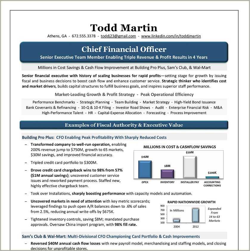 chief-audit-executive-resume-sample-resume-example-gallery