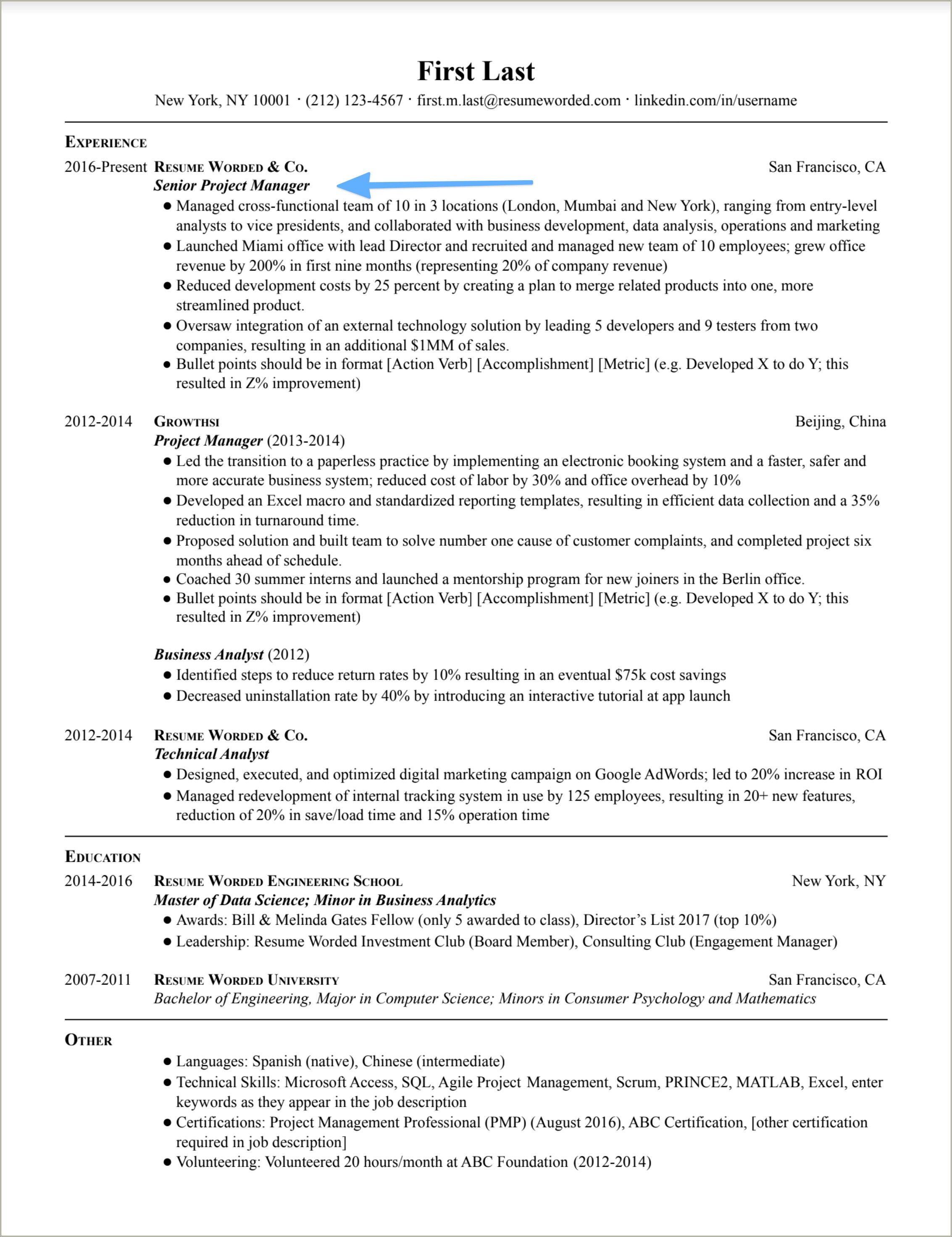 Project Manager Resume Template Microsoft Word Resume Example Gallery