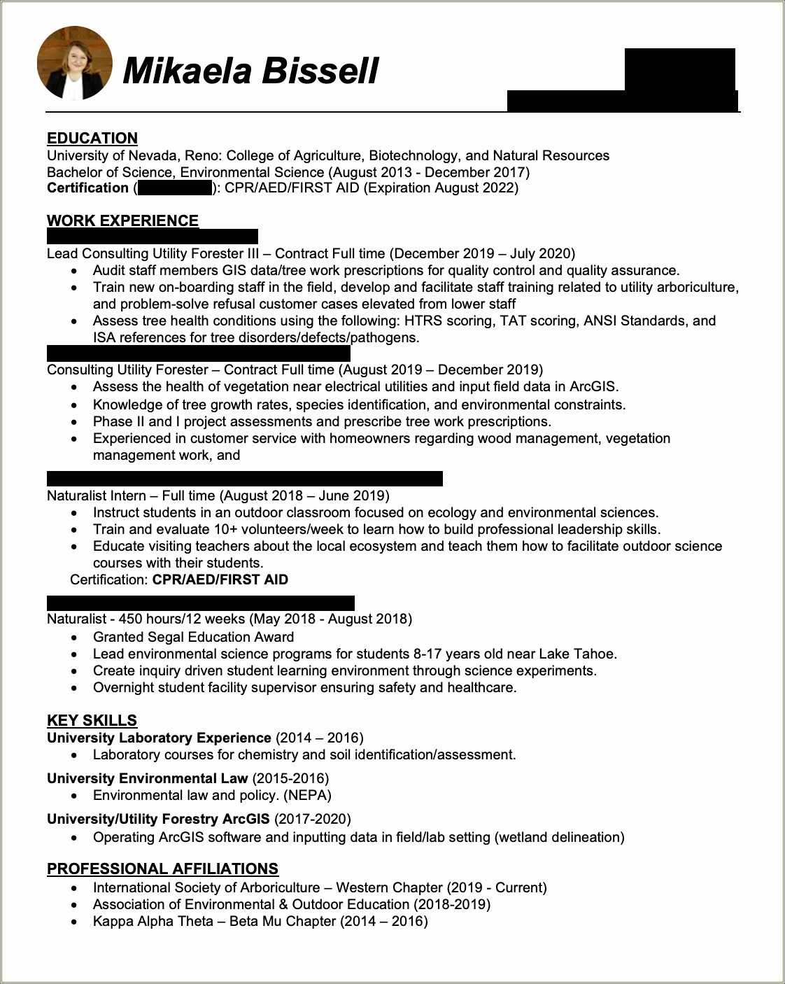 consultant-skills-section-of-resume-resume-example-gallery