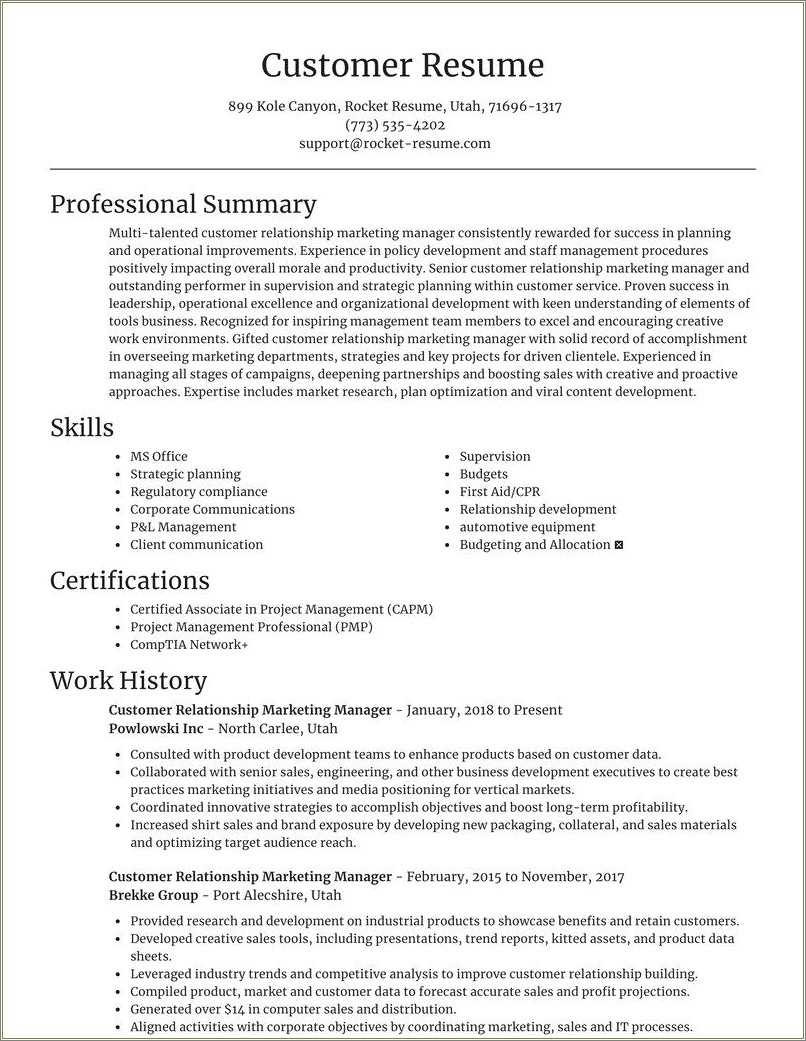 Customer Service Resume Professional Summary Examples Resume Example Gallery