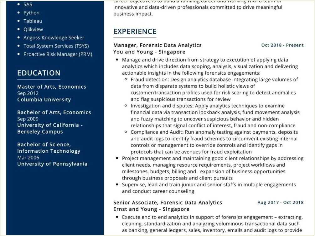 Data Analysis Executive Resume Sample Resume Example Gallery