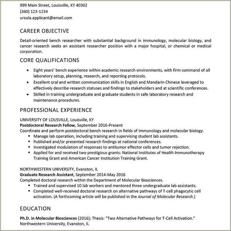 resume-projects-section-thesis-example-resume-example-gallery
