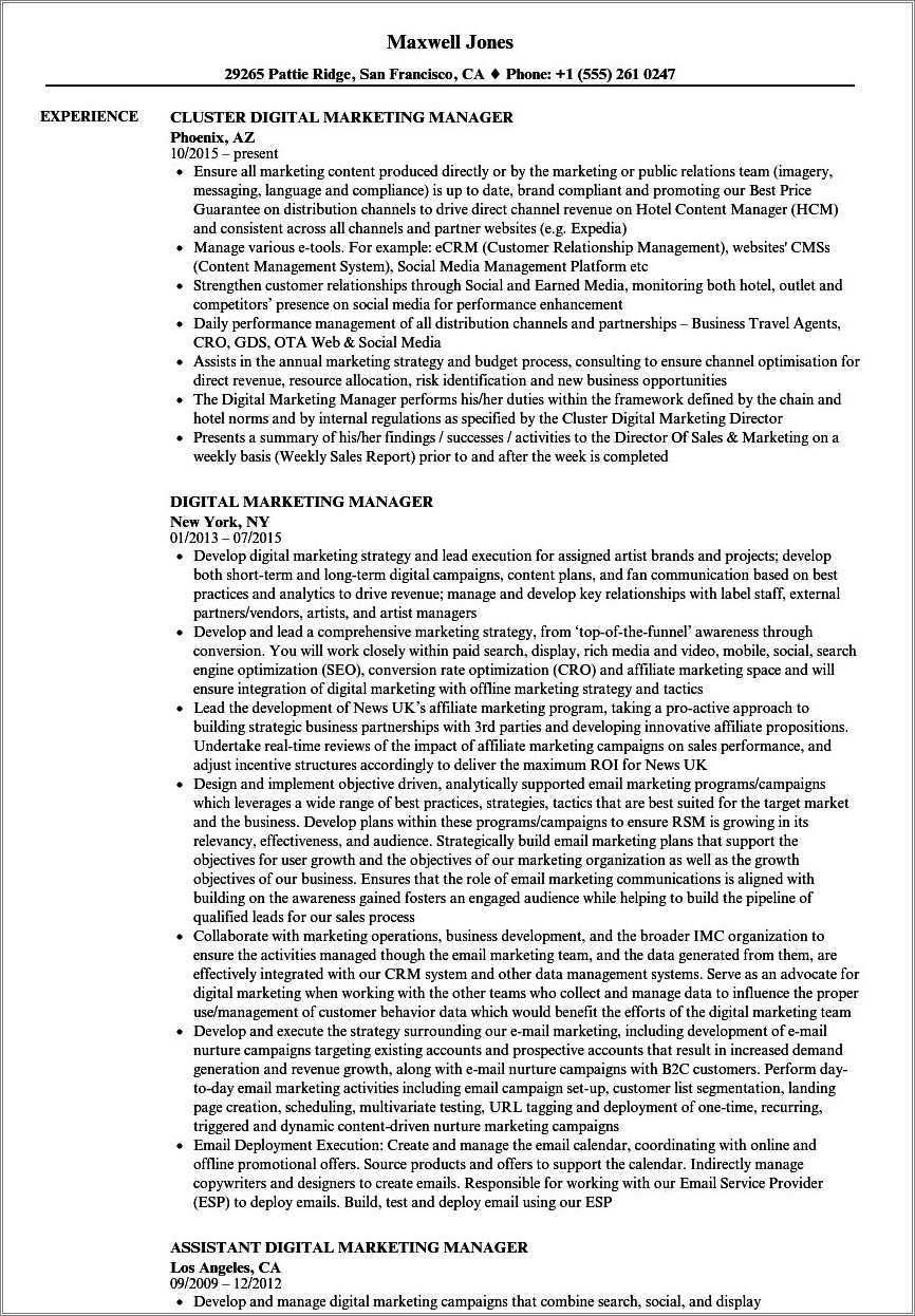 Digital Marketing Coordinator Resume Summary Statement Resume Example Digital Marketing Coordinator Resume Summary Statement Resume Example