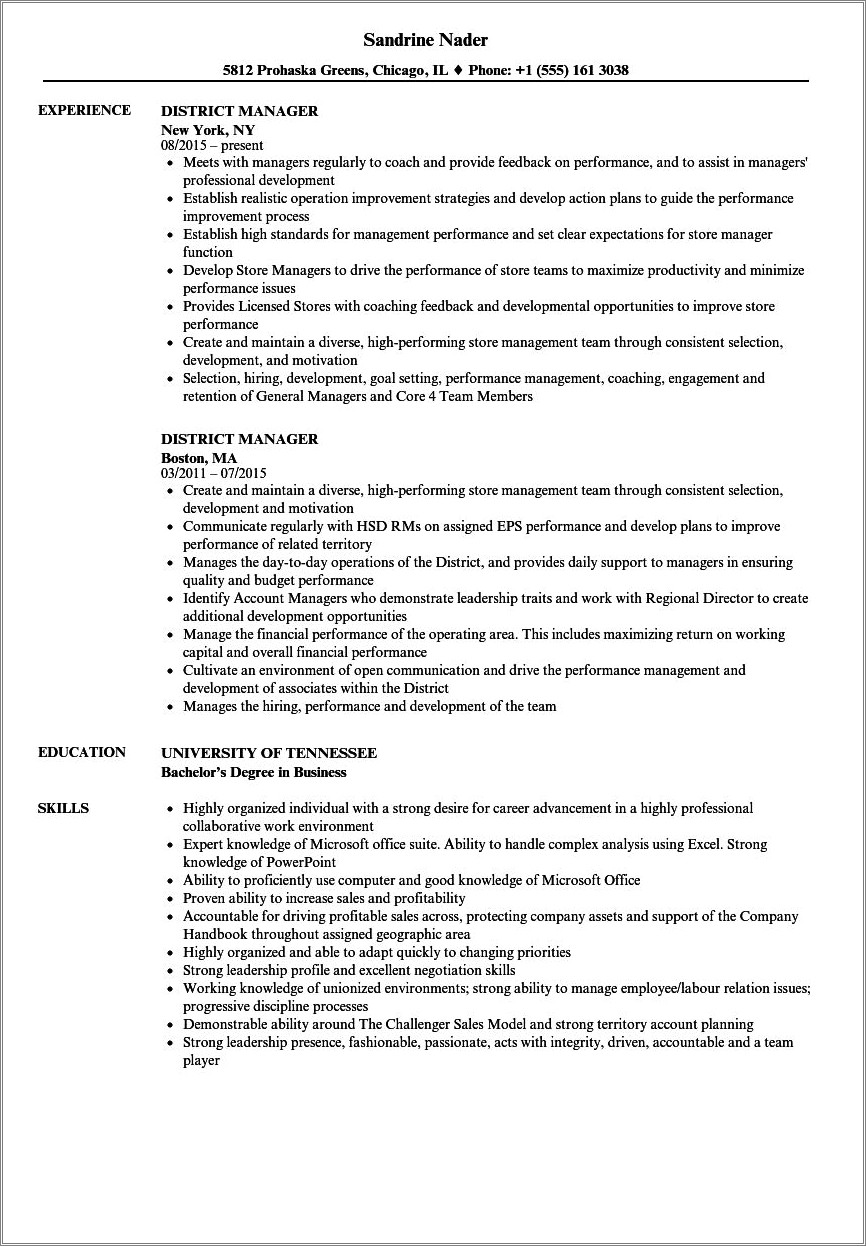 District Sales Manager Resume Sample Resume Example Gallery