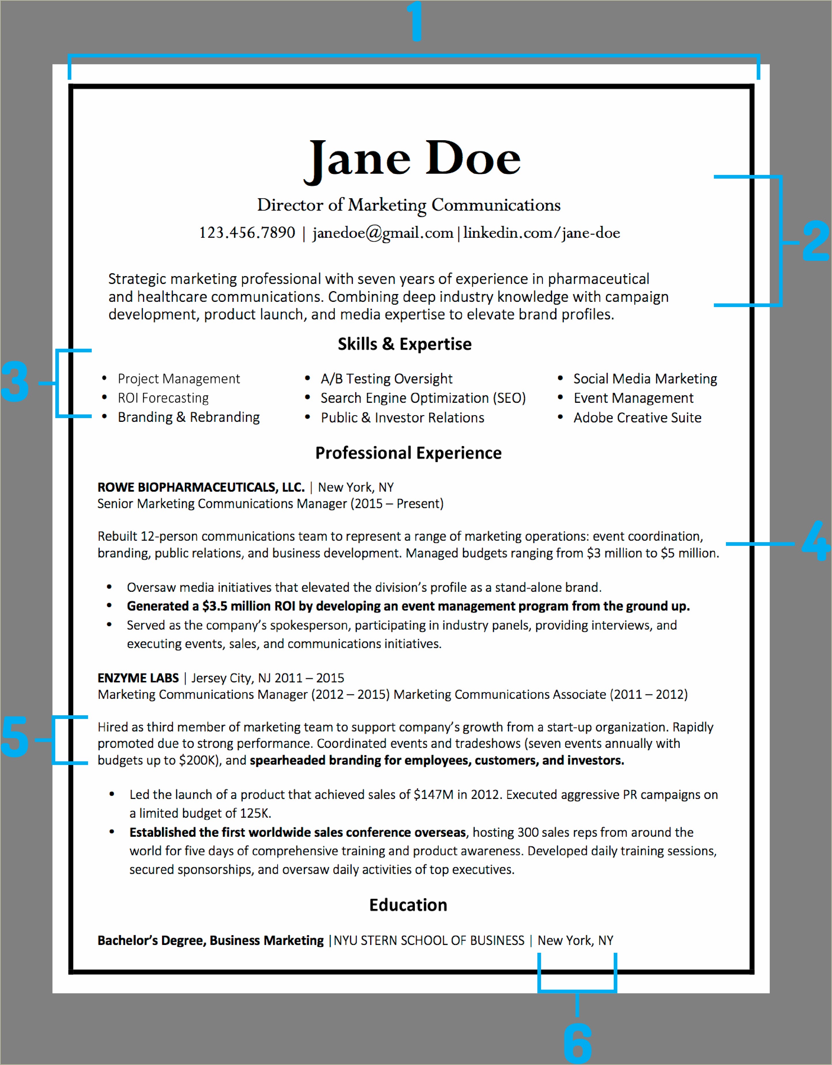 Does Your Resume Include Work History Dates Resume Example Gallery