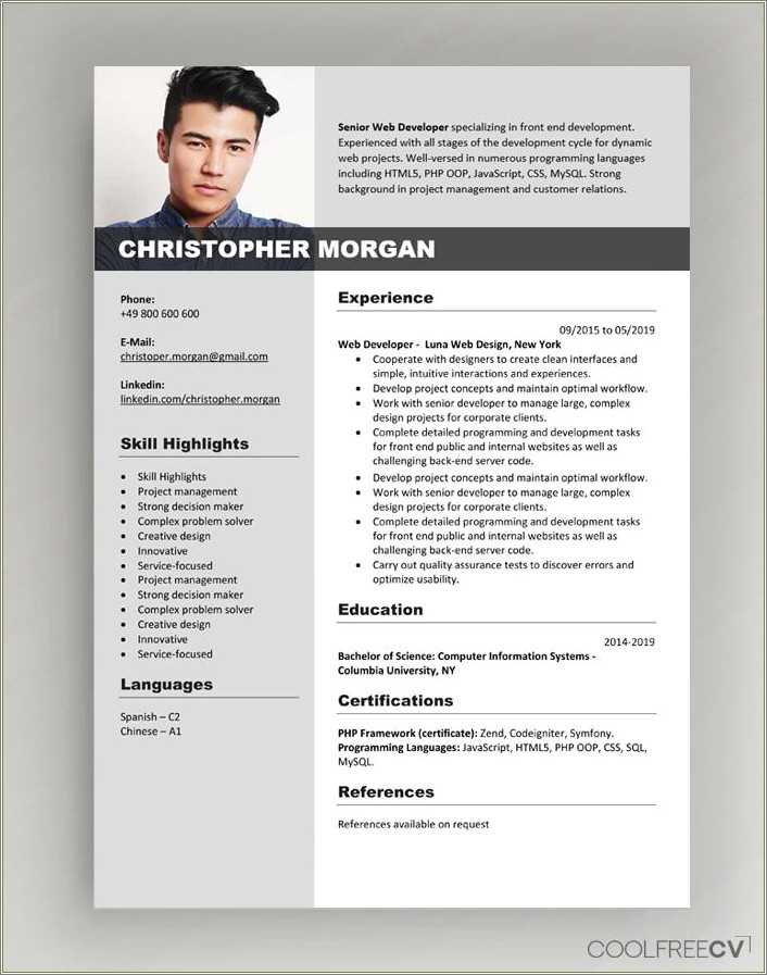 Download Free Resume Templates Usa Resume Example Gallery