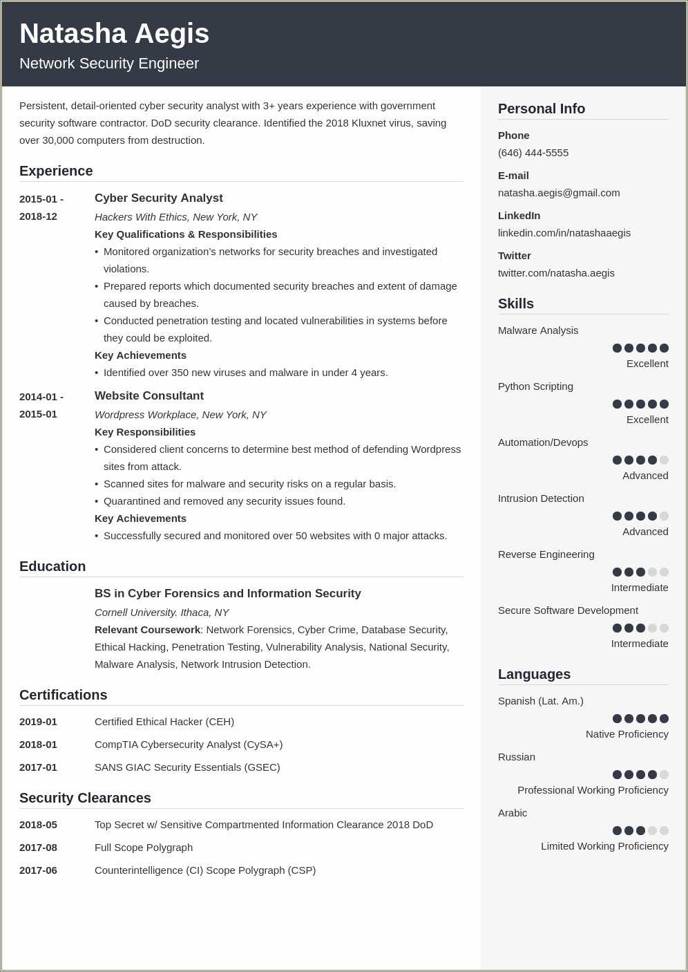Entry Level Information Security Resume Sample Resume Example Gallery