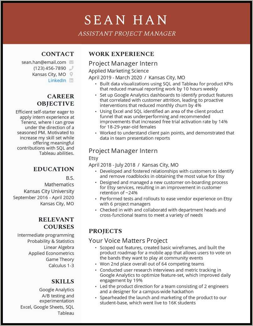 Entry Level Project Manager Resume Samples Resume Example Gallery