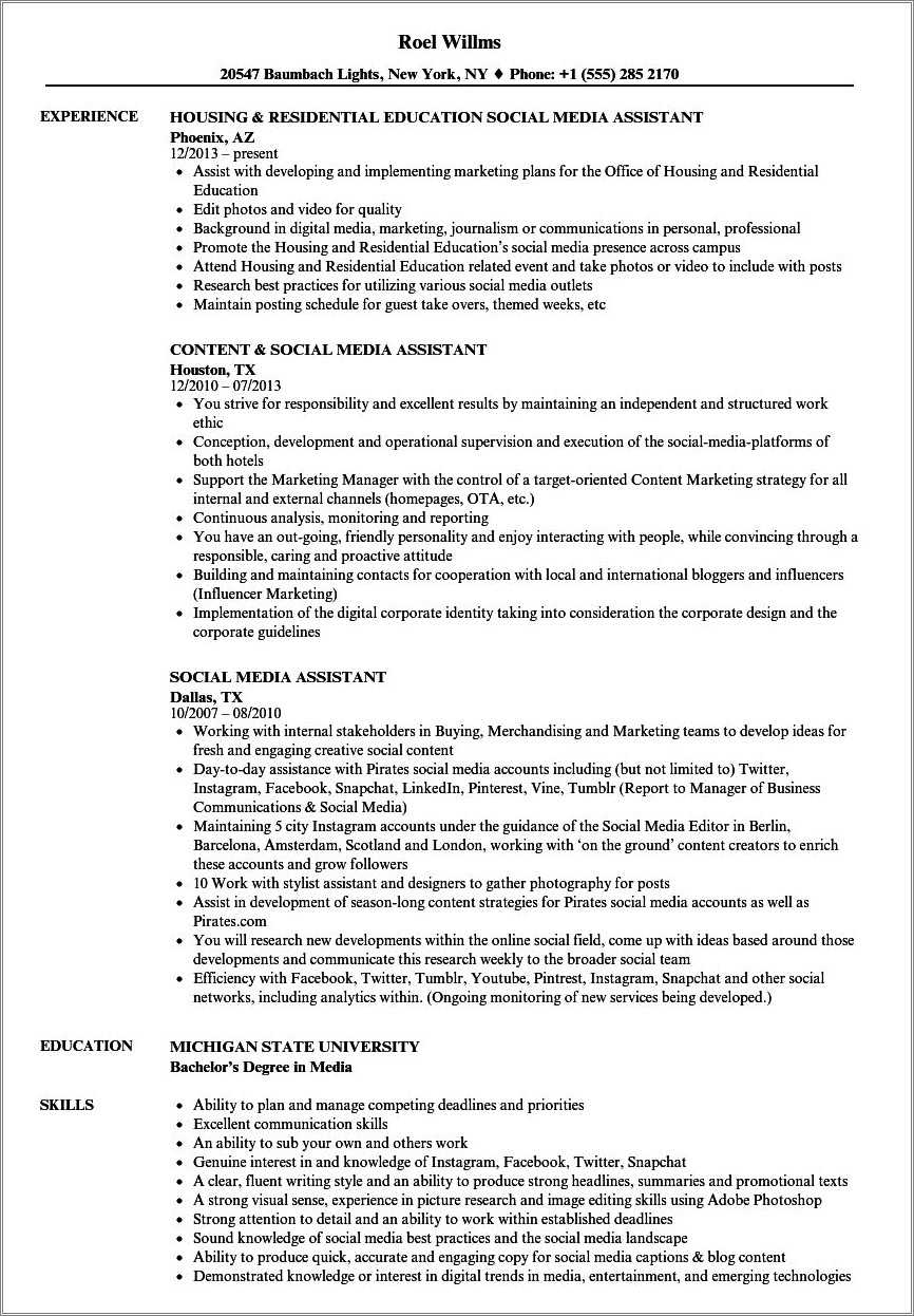 Entry Level Virtual Assistant Resume Sample Resume Example Gallery