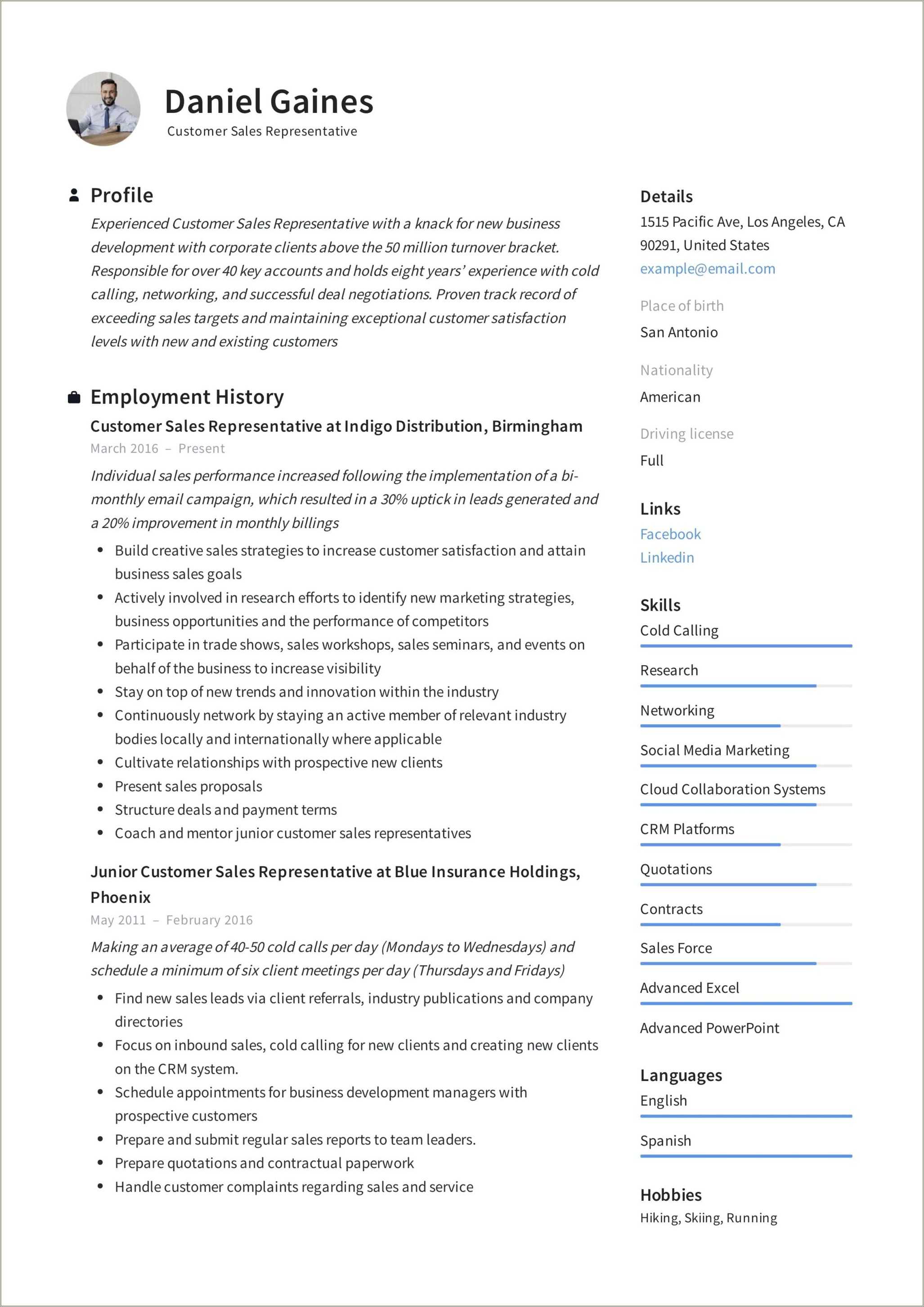 Example Of Sales Experience Resume Resume Example Gallery