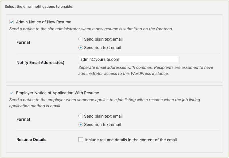 Examples Of Plain Text Resume Resume Example Gallery