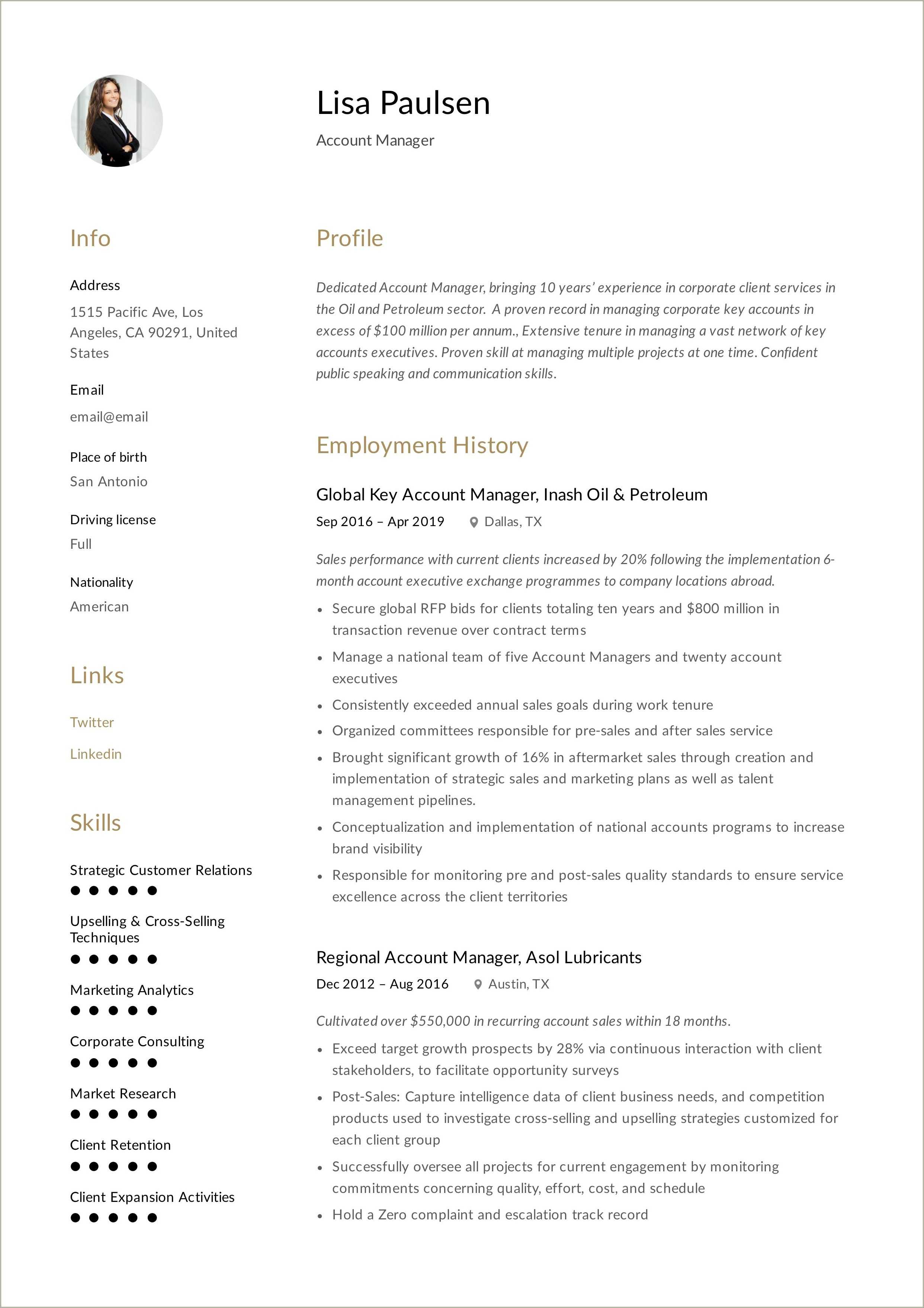 Retail Resume Summary Statement Examples Resume Example Gallery Retail Resume Summary Statement Examples Resume Example Gallery