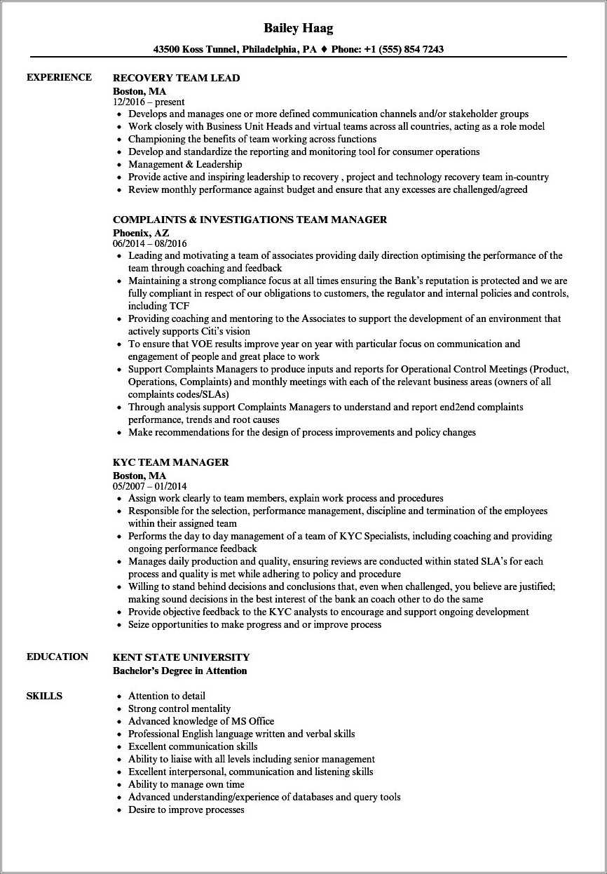 Examples Of Team Player On A Resume Resume Example Gallery examples-of-team-player-on-a-resume-resume-example-gallery