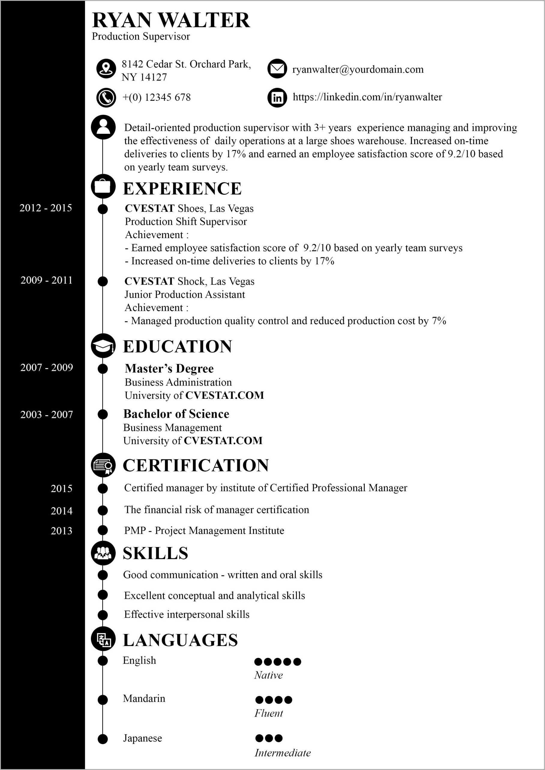 sample-executive-summary-on-resume-resume-example-gallery