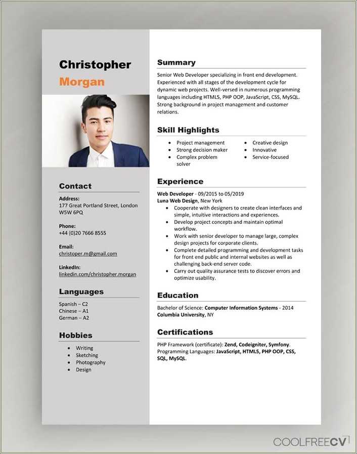 Fancy Resume Templates For Free Resume Example Gallery