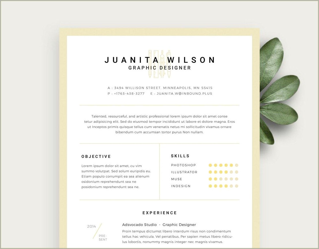modern-minimal-resume-template-free-resume-example-gallery