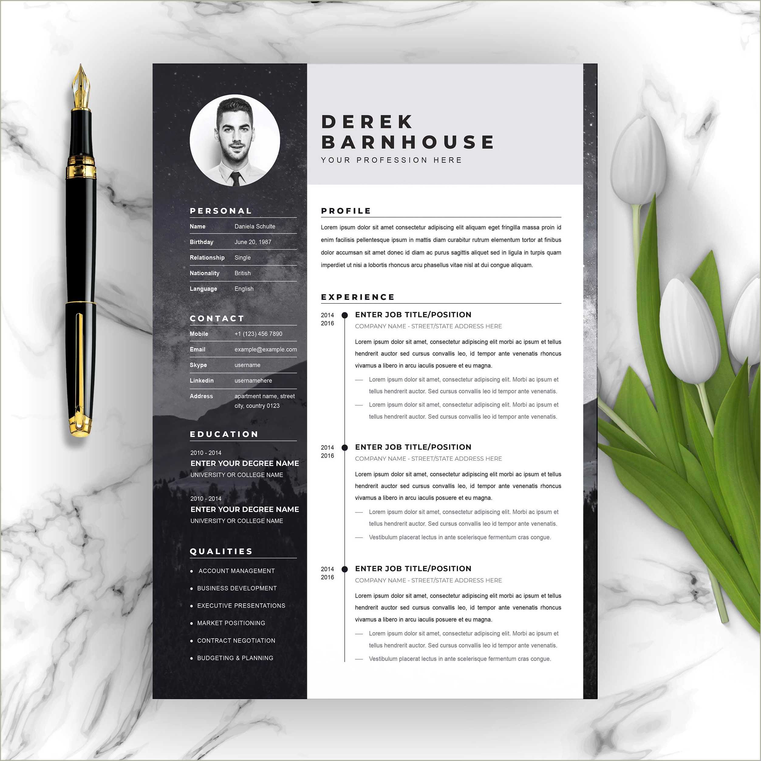 Free Download Modern Resume Templates For Word Resume Example Gallery