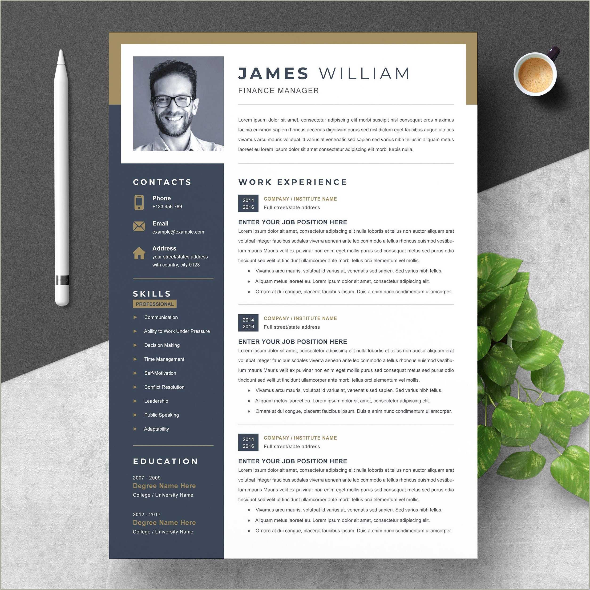 Free Word 2007 Resume Template Downloads Resume Example Gallery Free Word 2007 Resume Template Downloads Resume Example Gallery