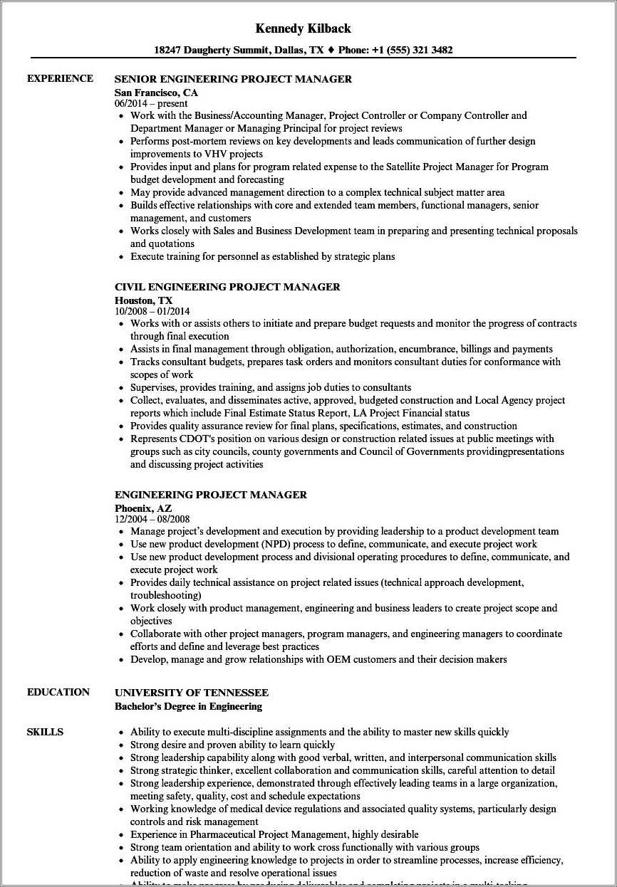 it-project-manager-resume-entry-level-resume-example-gallery