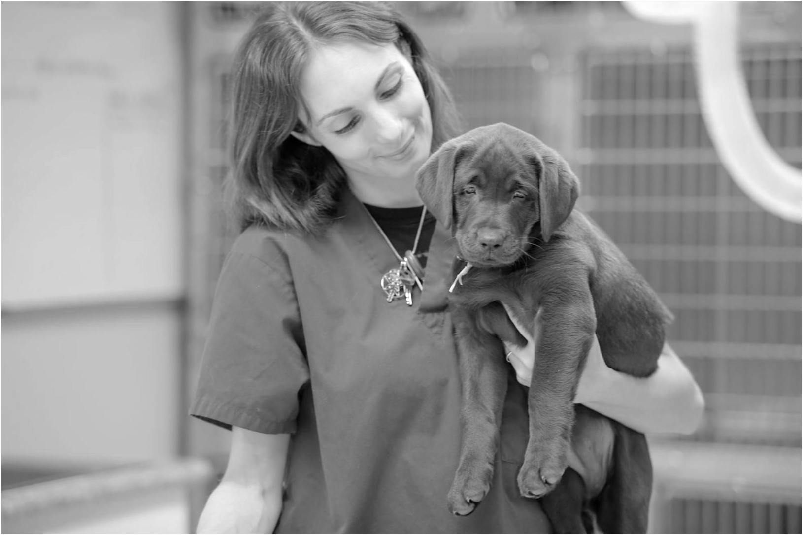 Job Description Vet Tech Resume Resume Example Gallery job-description-vet-tech-resume-resume-example-gallery