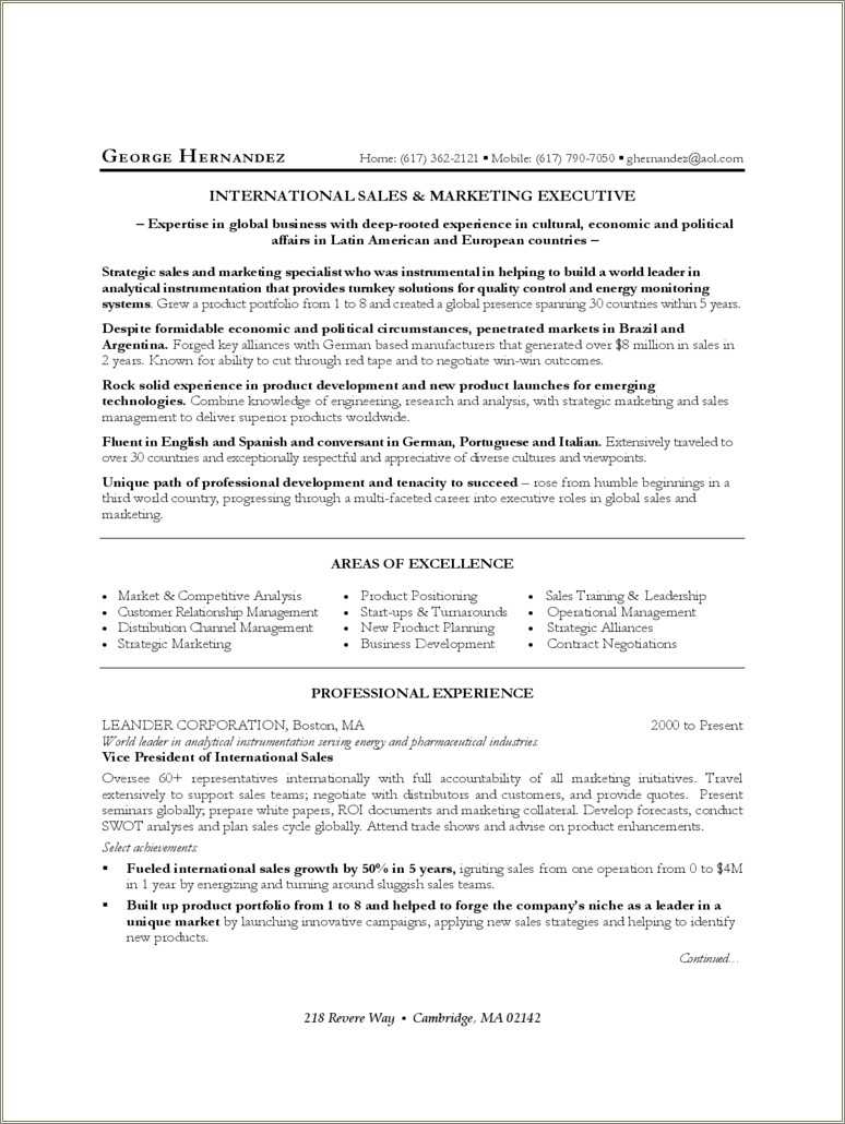 Marketing Resume Executive Summary Example Resume Example Gallery