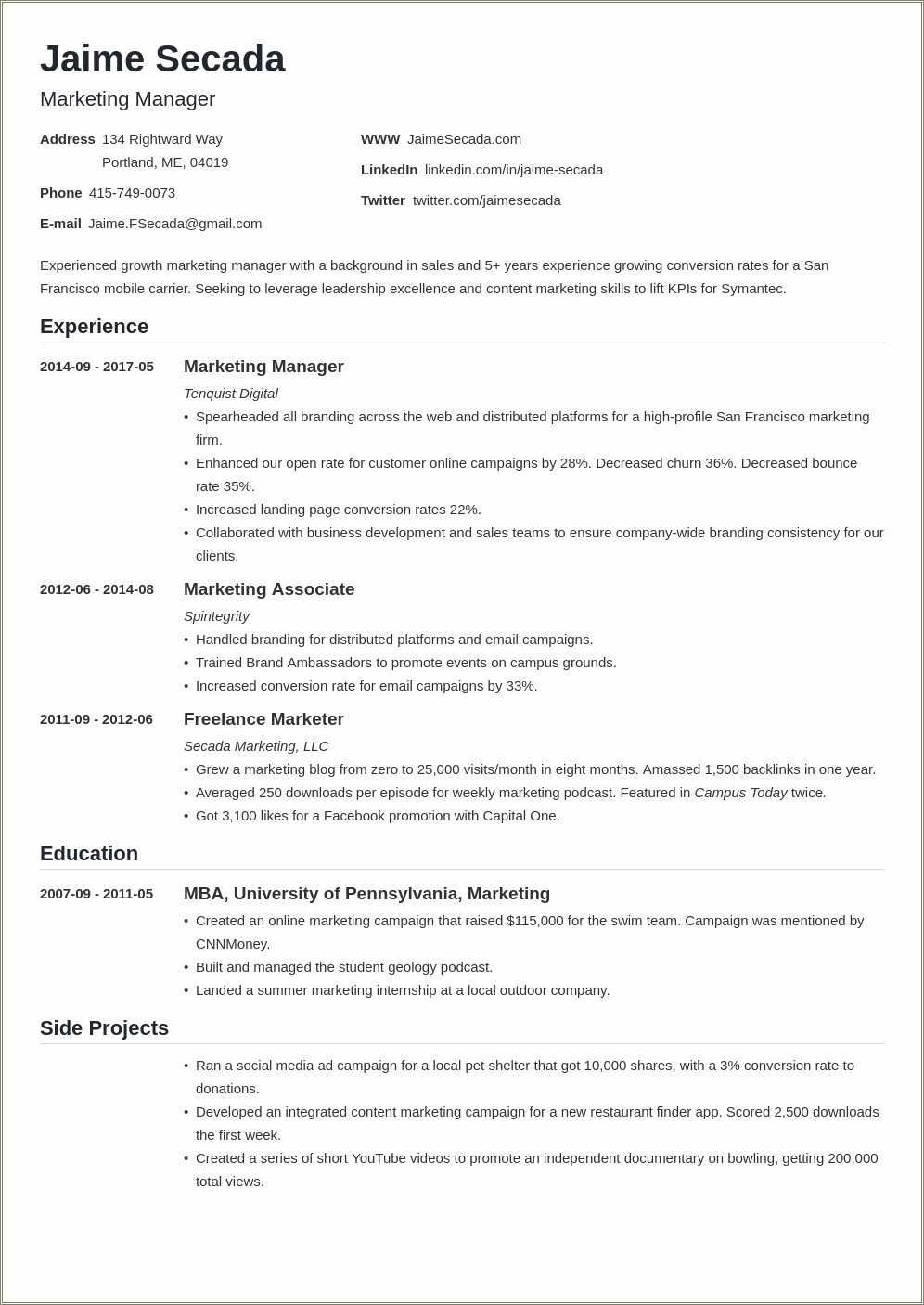 Marketing Manager Resume Summary Examples Resume Example Gallery