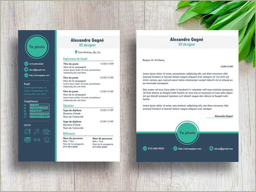Free Modern Resume Templates Free Download Resume Example Gallery