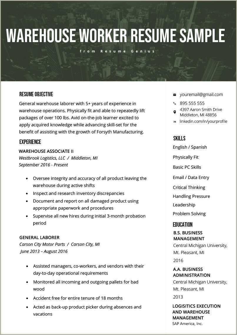 Resume Objective Template For Warehouse Resume Example Gallery