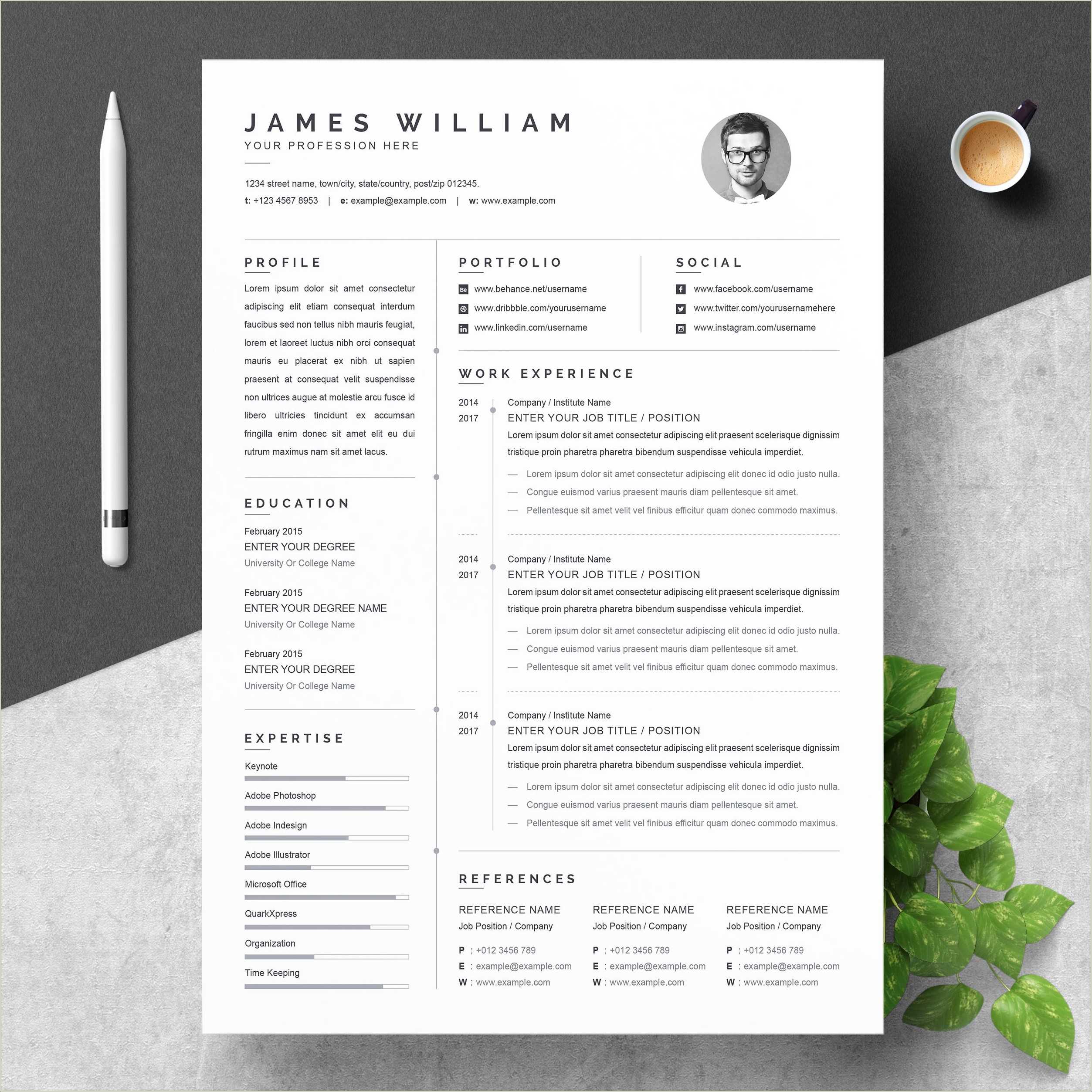 One Page Resume Format Pdf Free Download