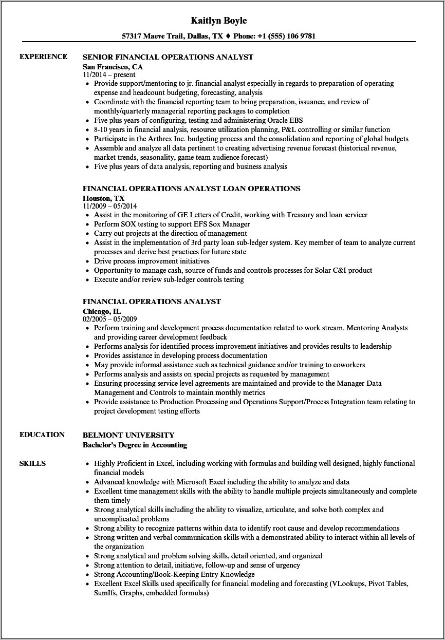 Resume Summary For Operations Manager Resume Example Gallery Resume Summary For Operations Manager Resume Example Gallery