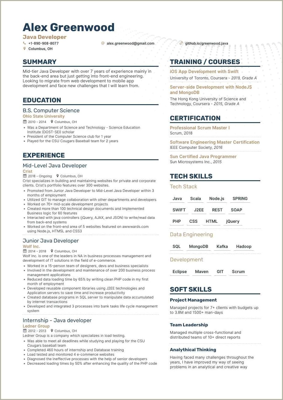 Pl Sql Developer Resume Example Resume Example Gallery