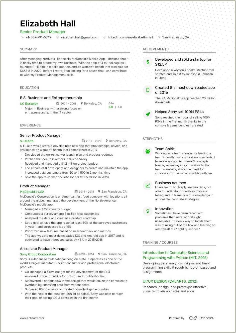 program-manager-resume-objective-statement-resume-example-gallery