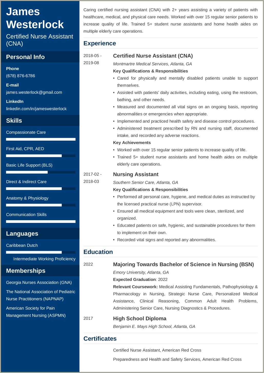 Professional Nursing Assistant Resume Example Resume Example Gallery professional-nursing-assistant-resume-example-resume-example-gallery