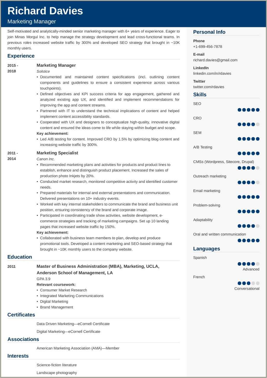 professional-profile-resume-examples-marketing-resume-example-gallery