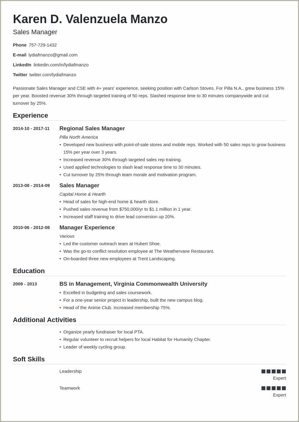 Program Manager Resume Professional Summary Resume Example Gallery program-manager-resume-professional-summary-resume-example-gallery