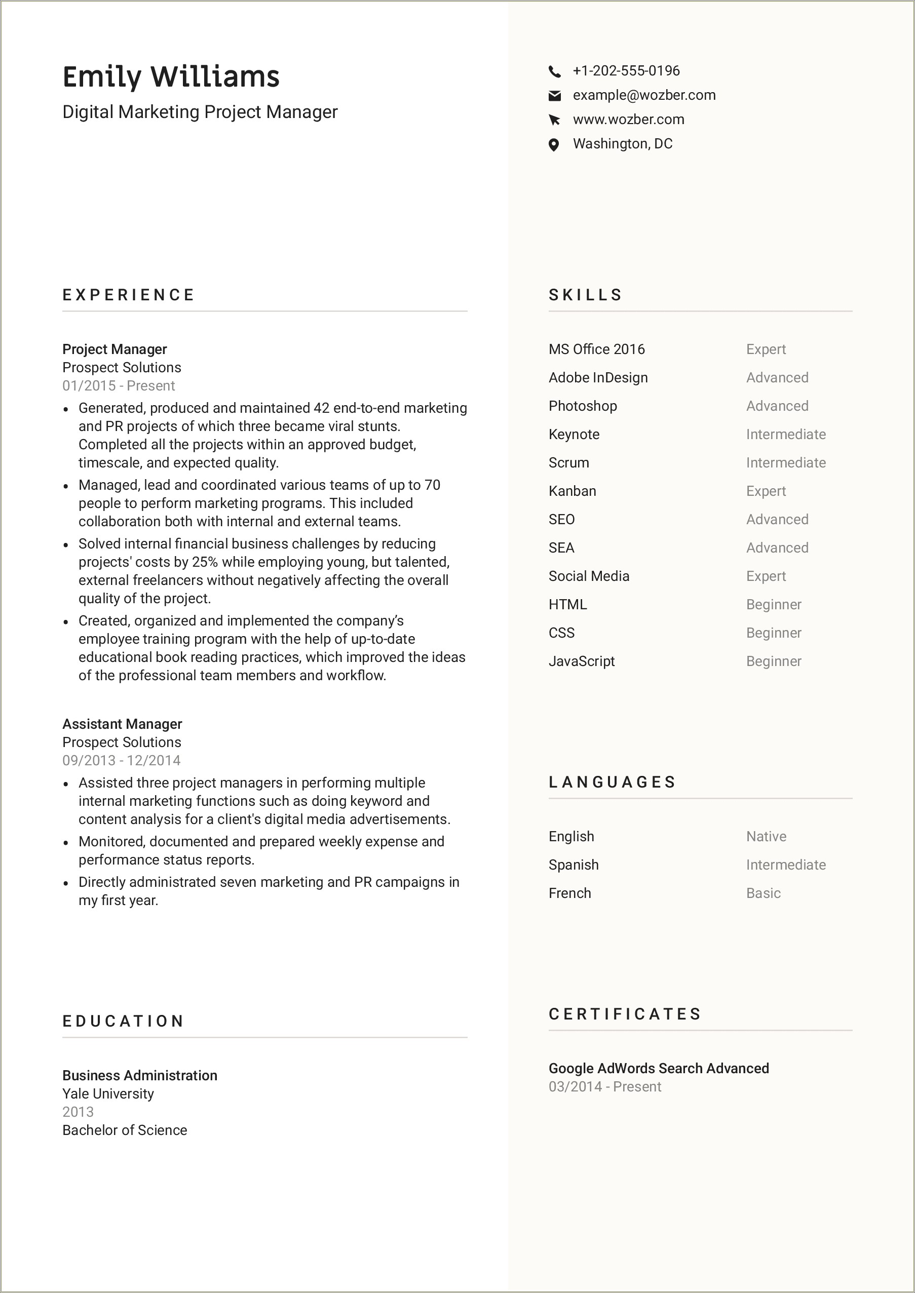 Project Management Examples For Resume Resume Example Gallery