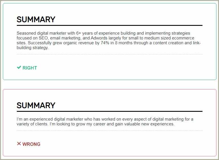 Resume Career Summary Examples For Freshers Resume Example Gallery