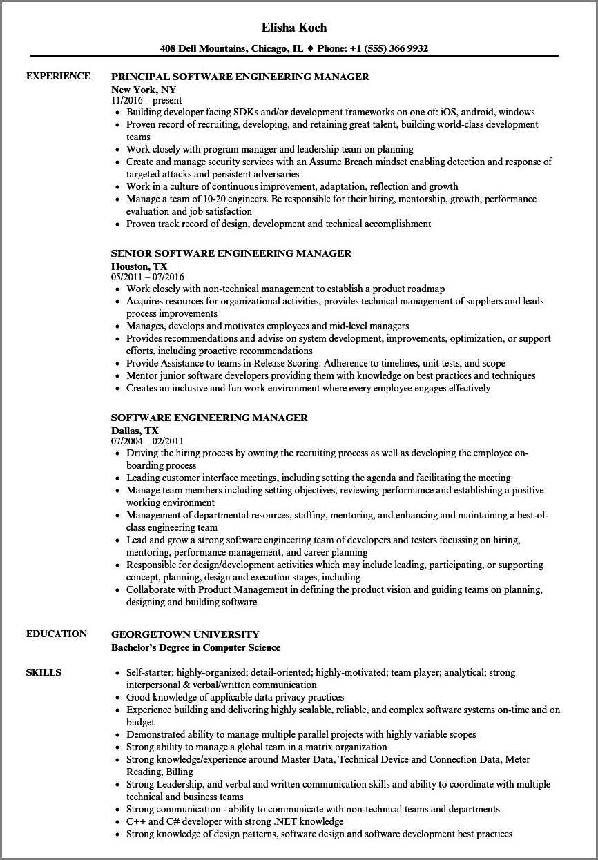 Software Project Leader Resume Sample Resume Example Gallery