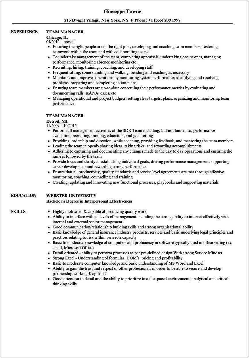 Sample Resume Team Player Examples Resume Example Gallery
