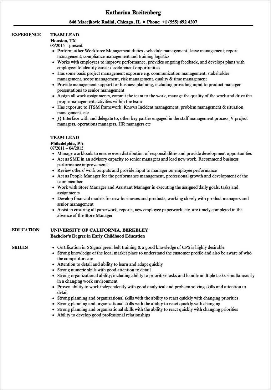 Resume Examples Team Lead Skills Resume Example Gallery