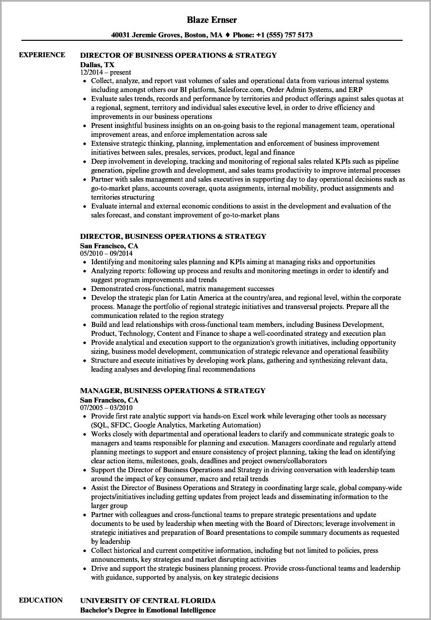 resume-executive-summary-example-strategic-operations-resume-example